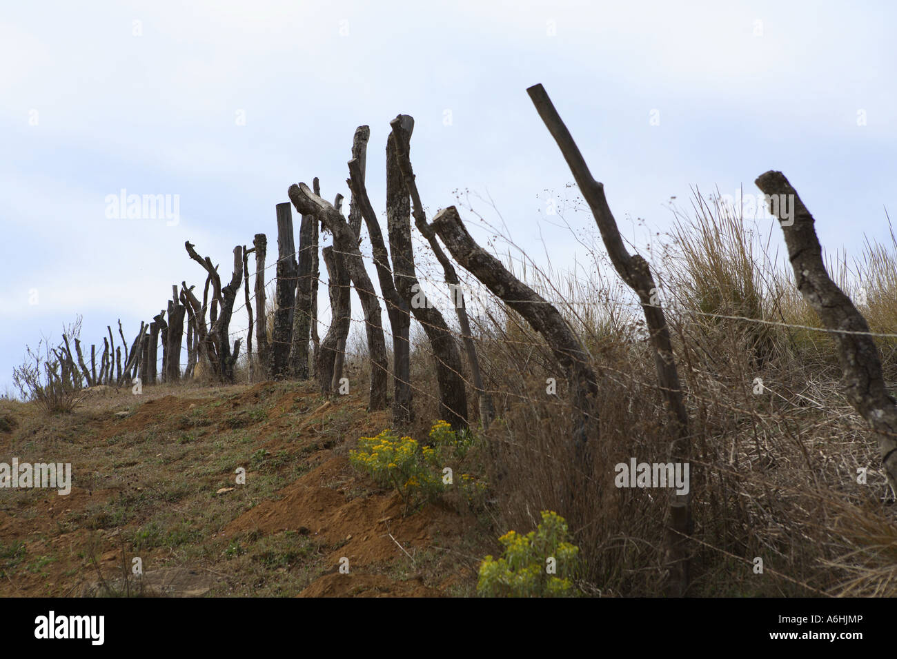 Old Fence in Rural Mexico Stock Photo - Alamy