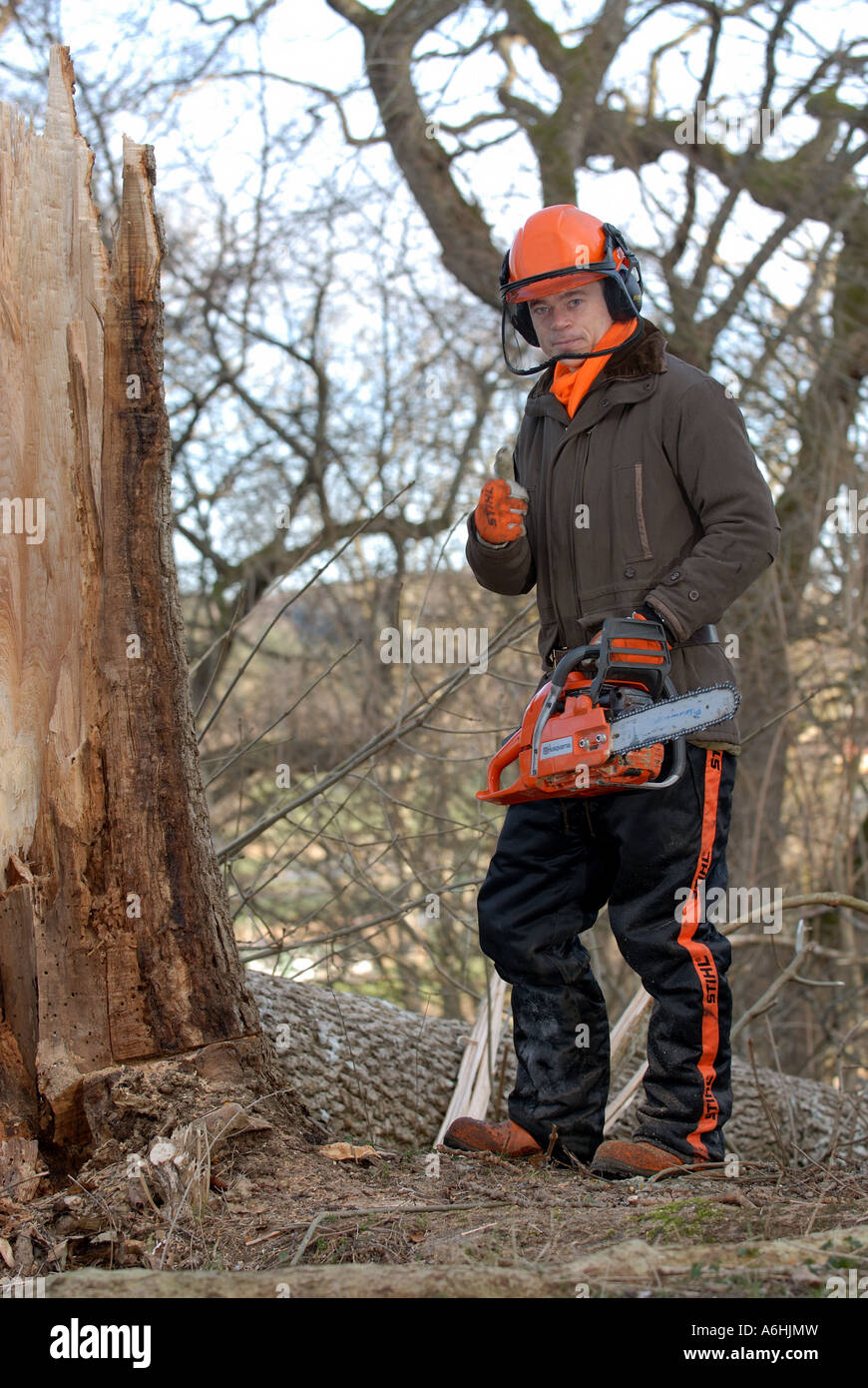 Man cutting tree logs with chainsaw Stock Photo - Alamy