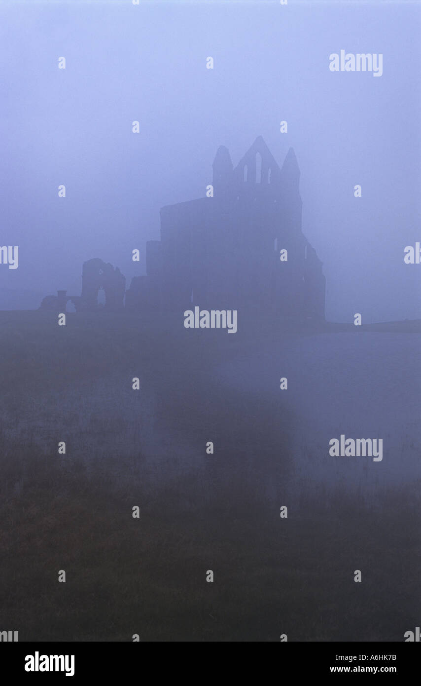 Whitby Abbey in sea mist Stock Photo - Alamy