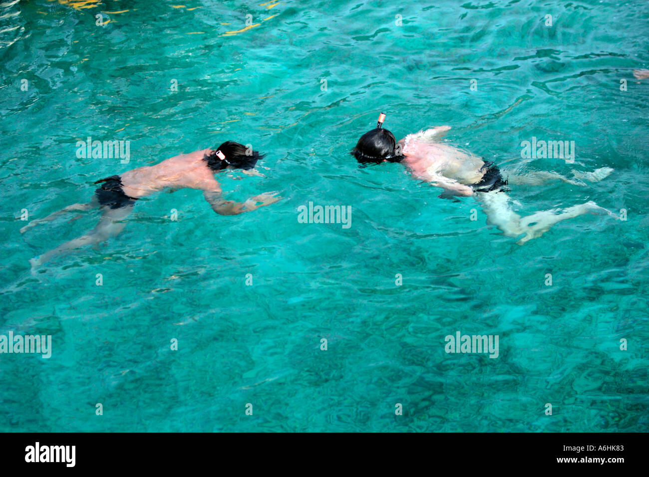 Two boys snorkelling off jetty Salang Beach Tioman Island Malaysia ...