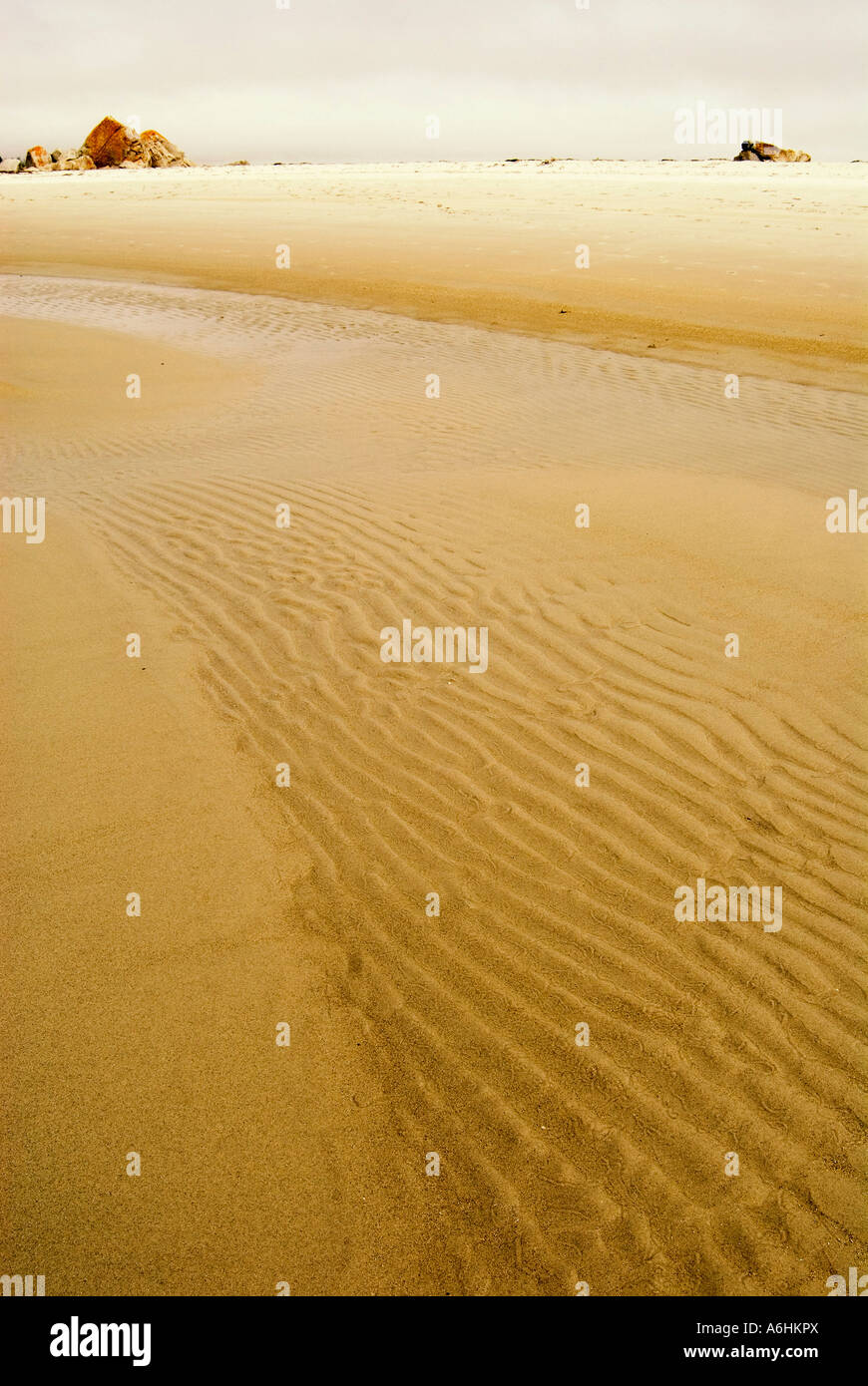 Rippled sand along expansive beach Stock Photo - Alamy