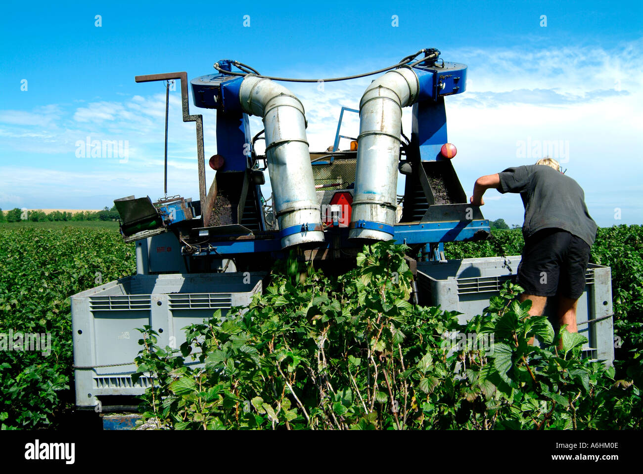 Harvester denmark hi-res stock photography and images - Alamy