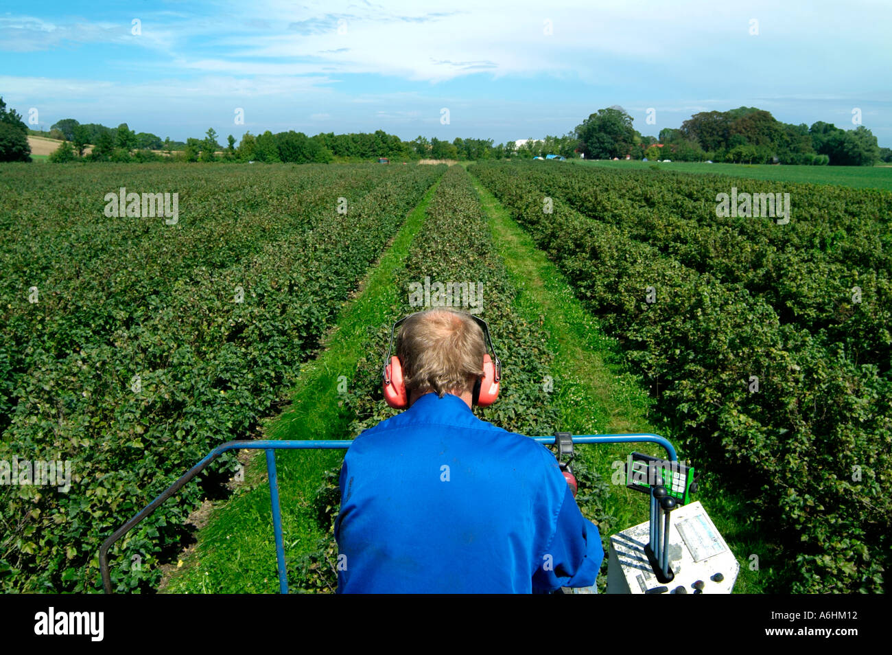 Harvester denmark hi-res stock photography and images - Alamy