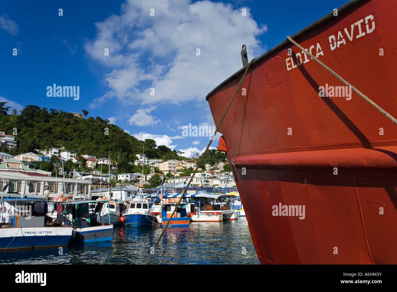 Fishing Boats in Carenage Harbour City of St George s Grenada Lesser ...