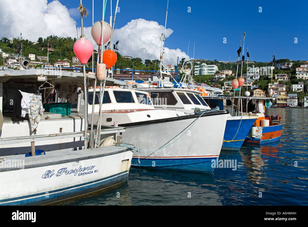 Fishing Boats in Carenage Harbour City of St George s Grenada Lesser ...