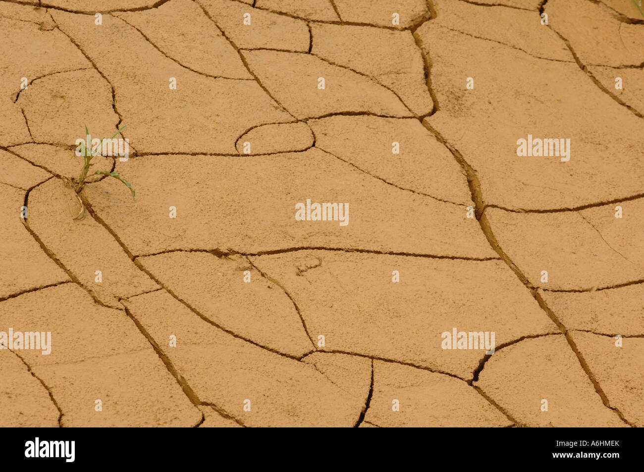 Dried out land makes patterns in the soil Stock Photo - Alamy