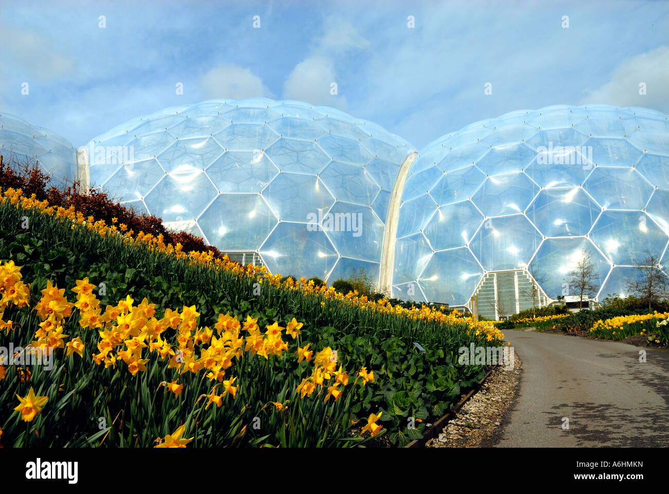 Eden Project biomes Cornwall Stock Photo - Alamy