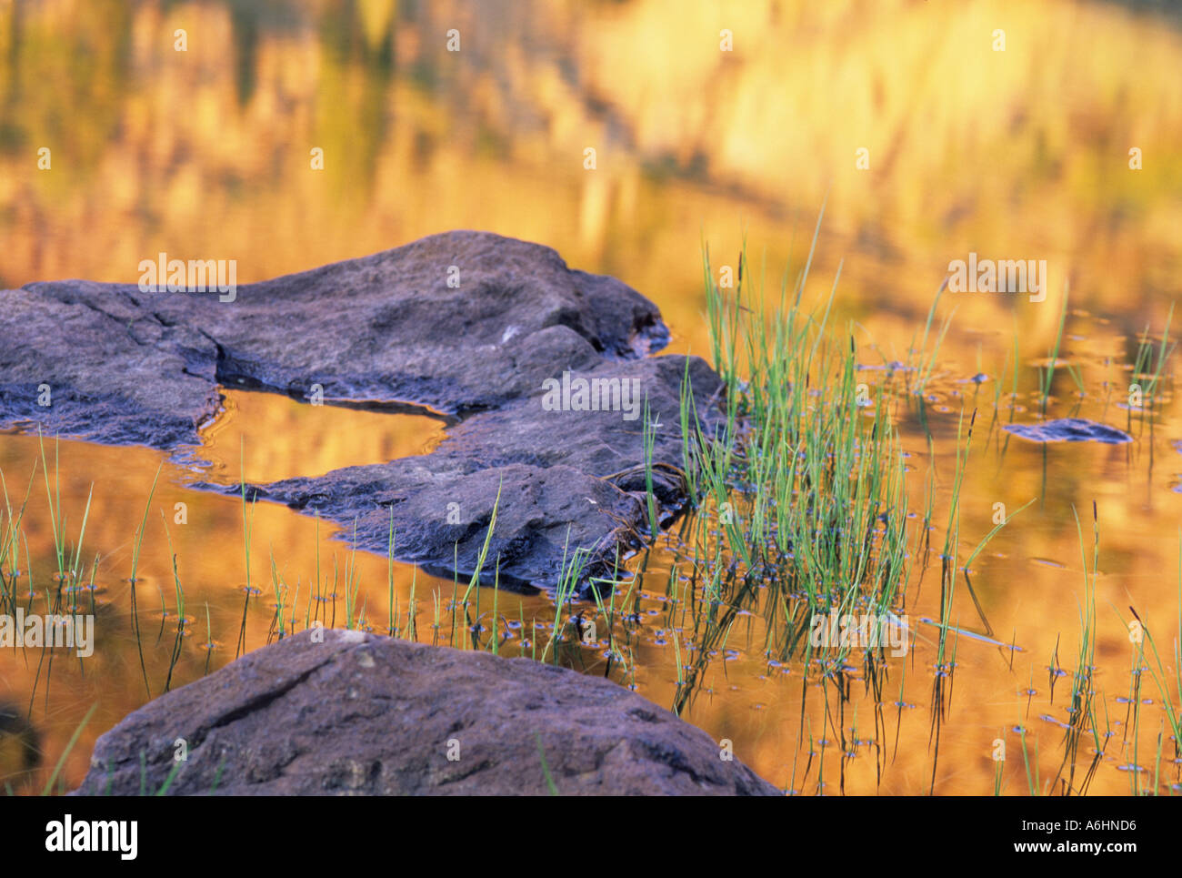 Reflections in pond Trinity Alps Wilderness, California, USA Stock ...