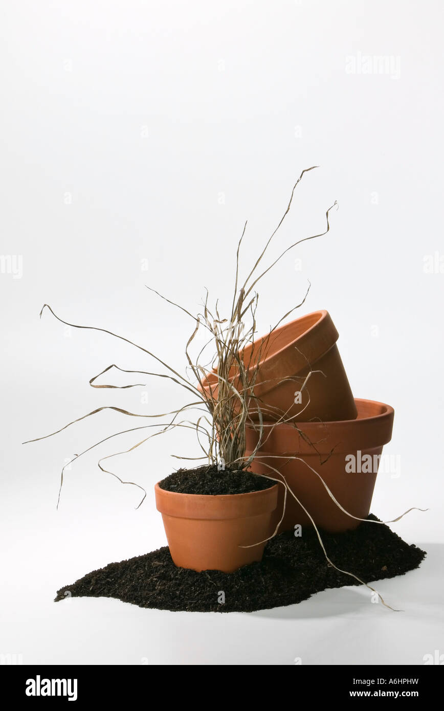 Weed cut out hi-res stock photography and images - Alamy