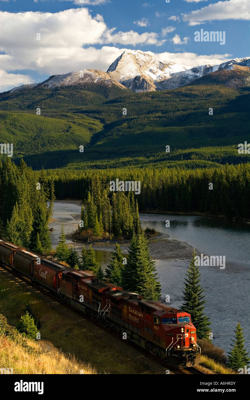 Train travel through the Alberta Rockies Stock Photo - Alamy