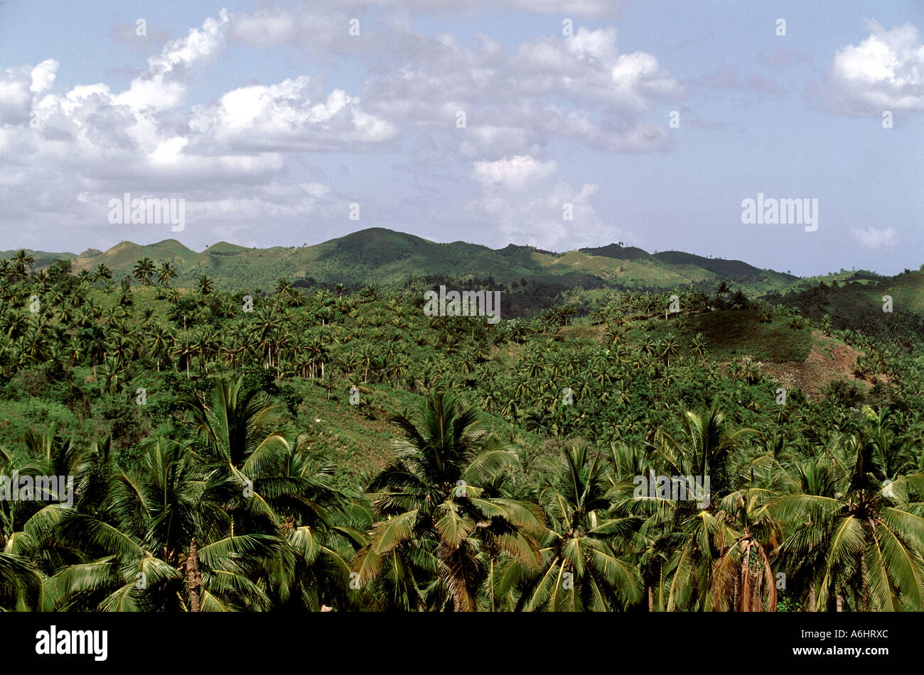 Dominican Republic Samana Peninsula Stock Photo - Alamy