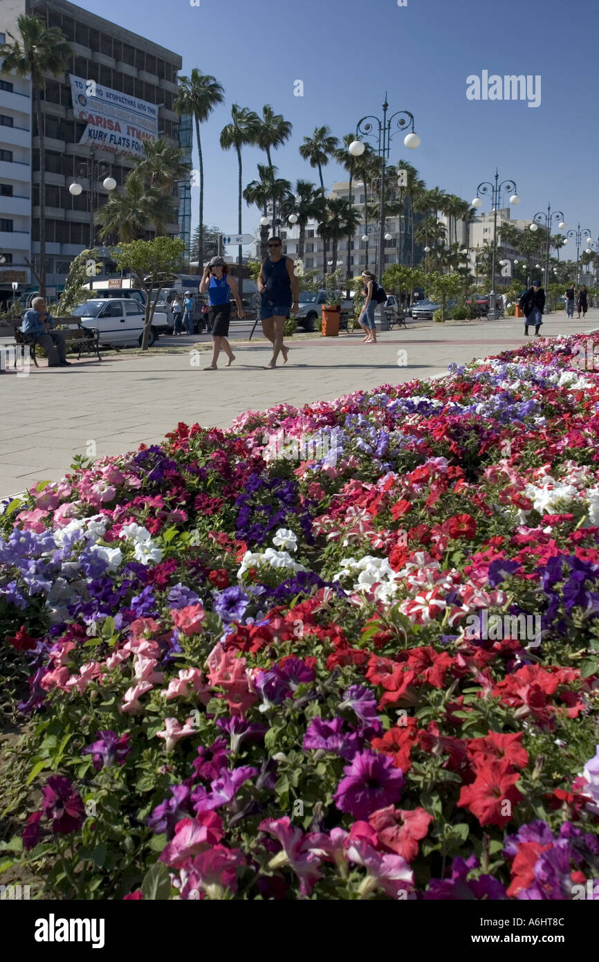 Cyprus visitors walk along Larnaca palm lined sea front promenade Stock ...