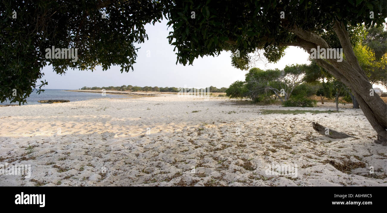 Beach of potamos hi-res stock photography and images - Alamy