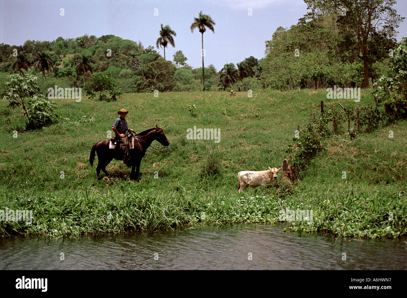 Dominican Republic Solo River Stock Photo - Alamy