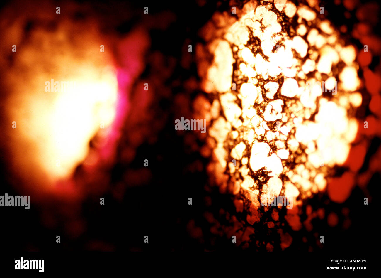 Whither hi-res stock photography and images - Alamy