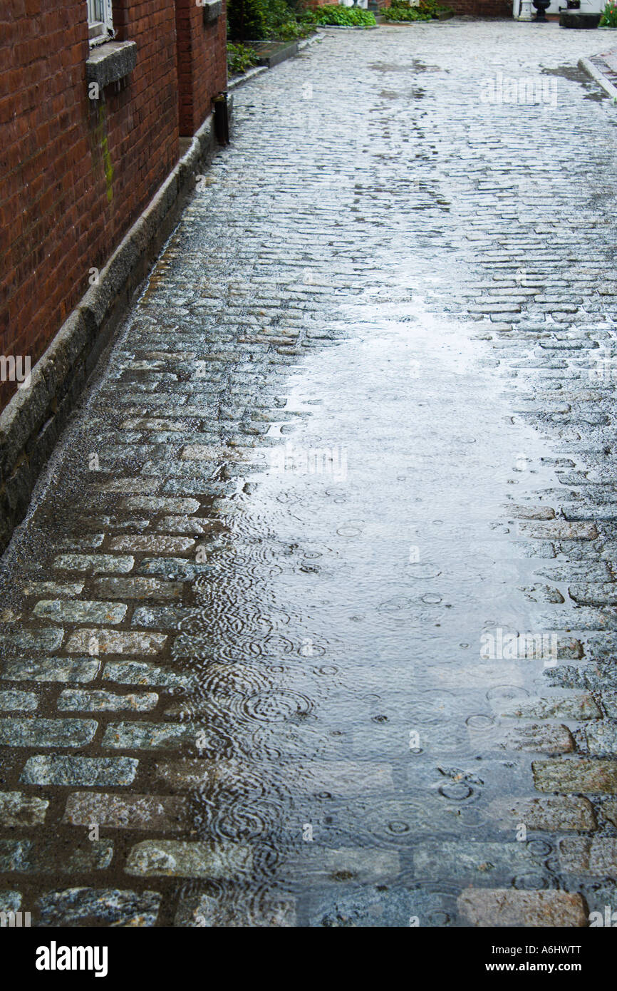 Paving Stones Puddles Stock Photo - Alamy