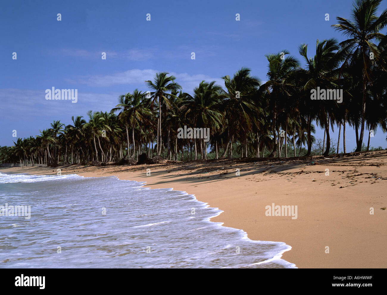 Dominican Republic Punta Cana Playa Macao Stock Photo - Alamy