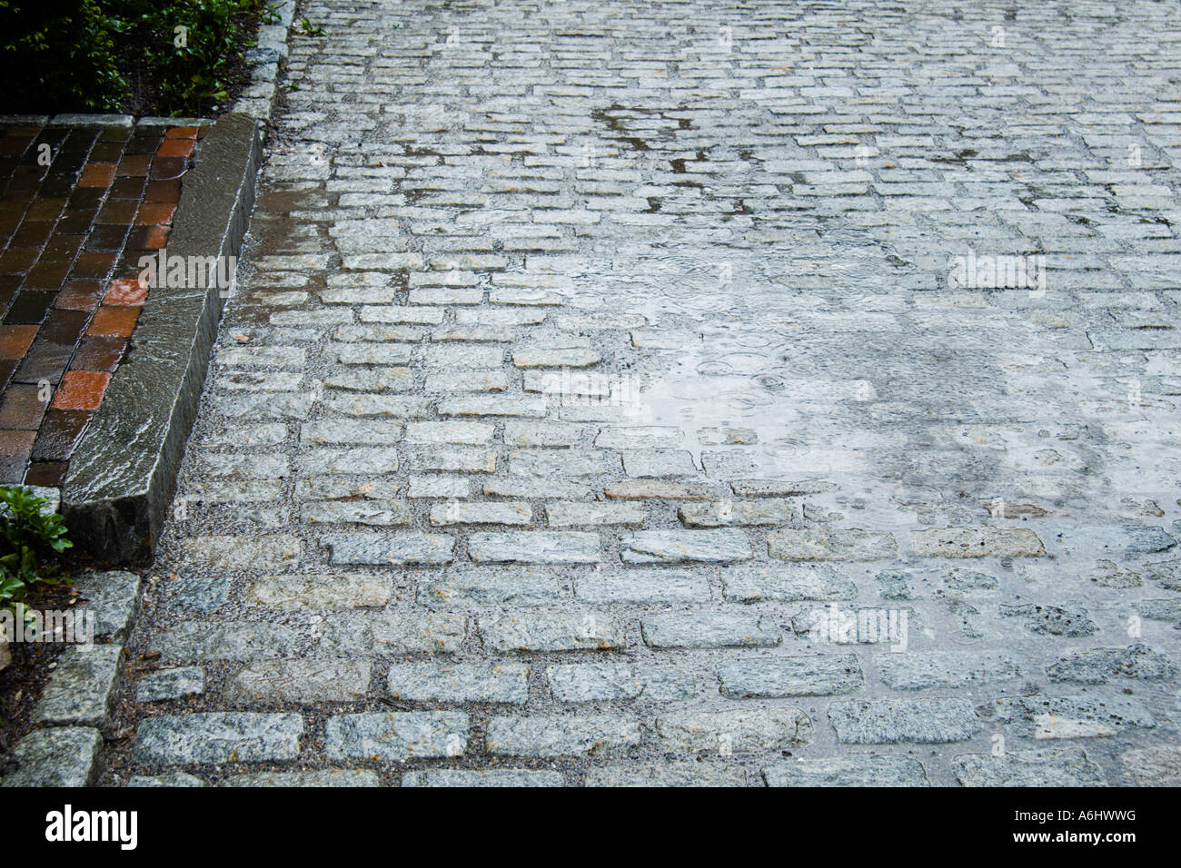 Paving Stones and Puddles Stock Photo - Alamy