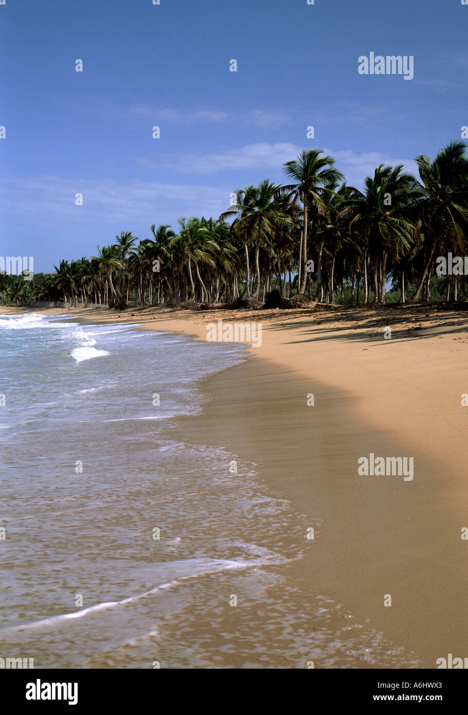 Dominican Republic Punta Cana Playa Macao Stock Photo - Alamy