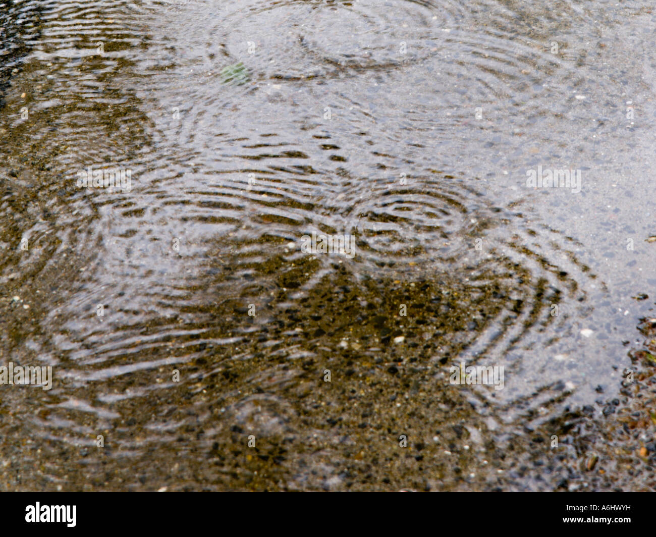 Puddles and Raindrops Stock Photo - Alamy