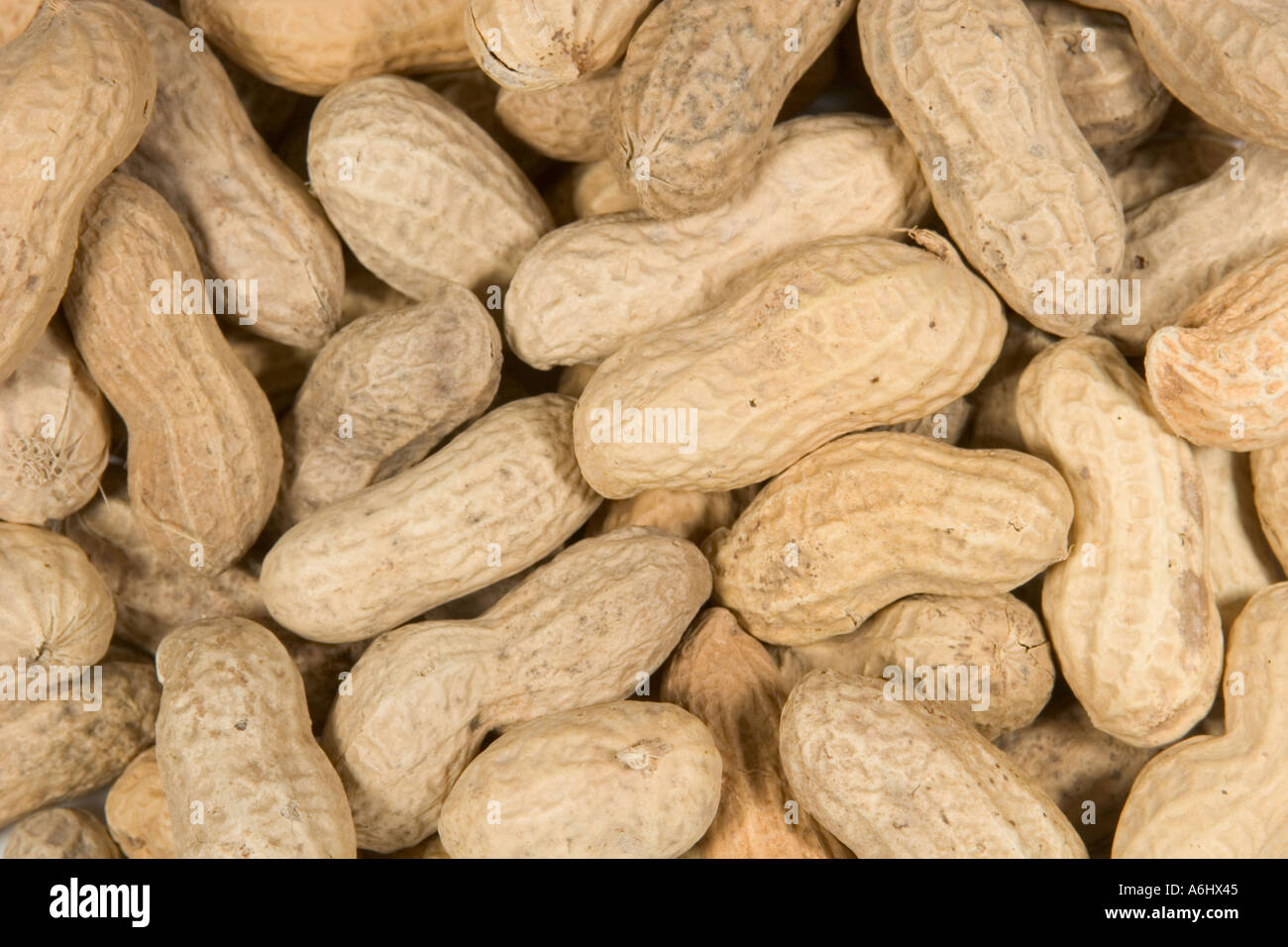 Pile of peanuts on white background Closeup horizontal view Stock Photo ...