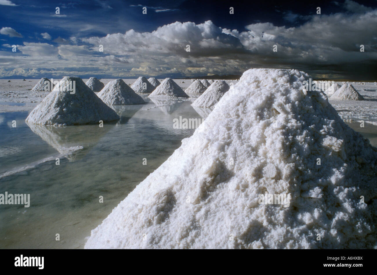 BOL Bolivia 02 2003 salt production at the Salar de Uyuni Bolivia Stock ...