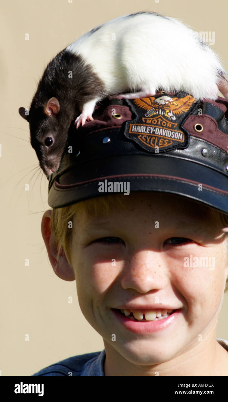 Boy with pet rat Young smiling boy with his pet rat sitting on his ...