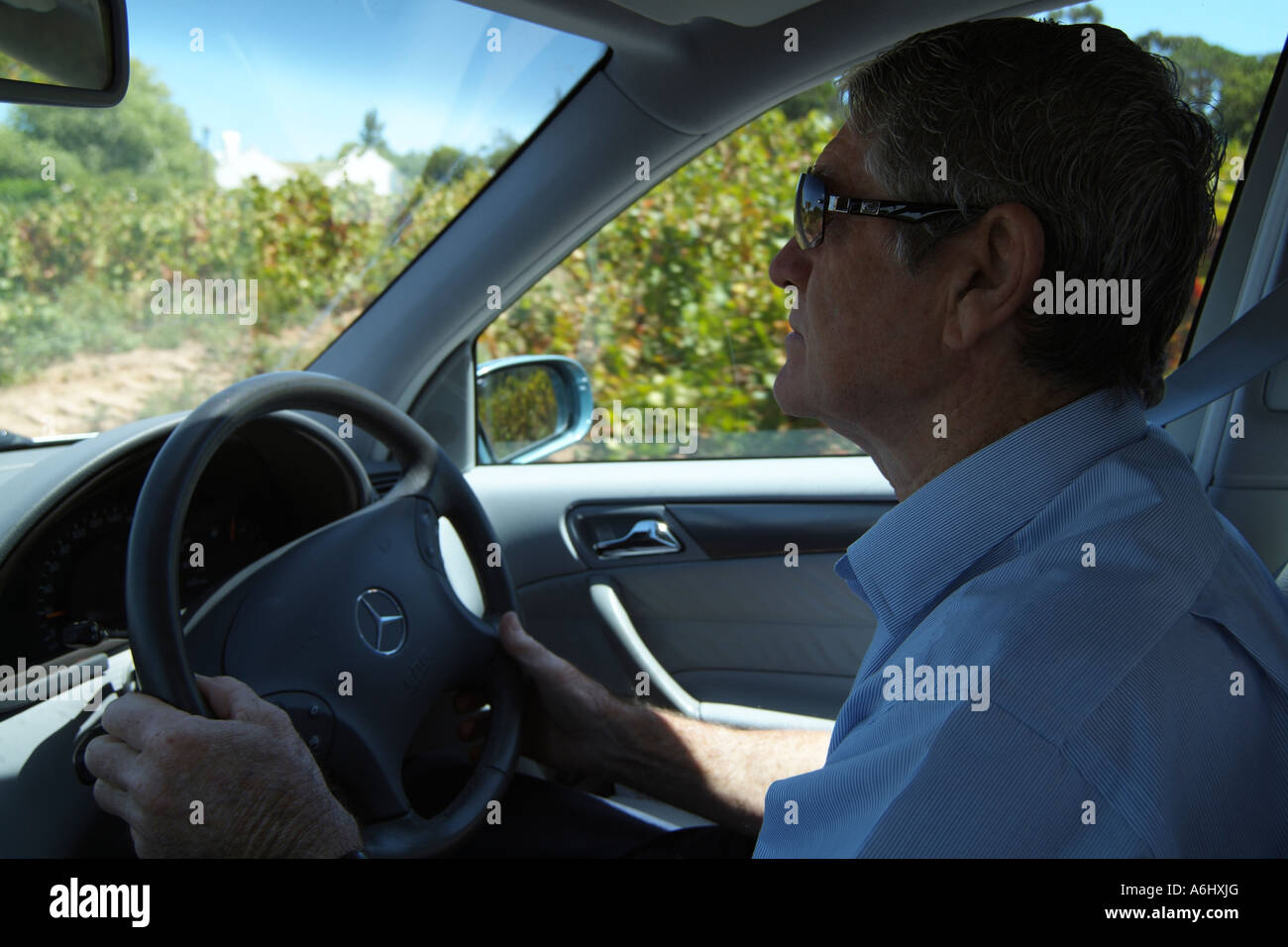 Man driving Mercedes car. Car driver at the wheel Stock Photo - Alamy