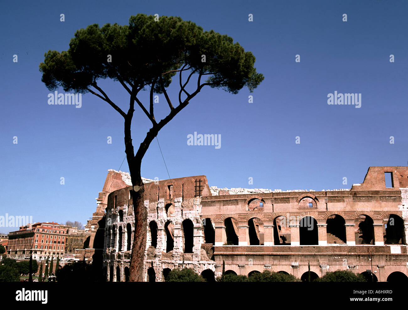 Italy Rome The Coliseum Stock Photo - Alamy