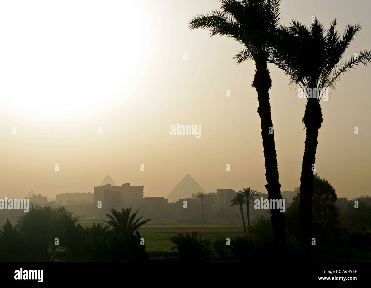 The pyramids viewed from the road to Giza Stock Photo - Alamy