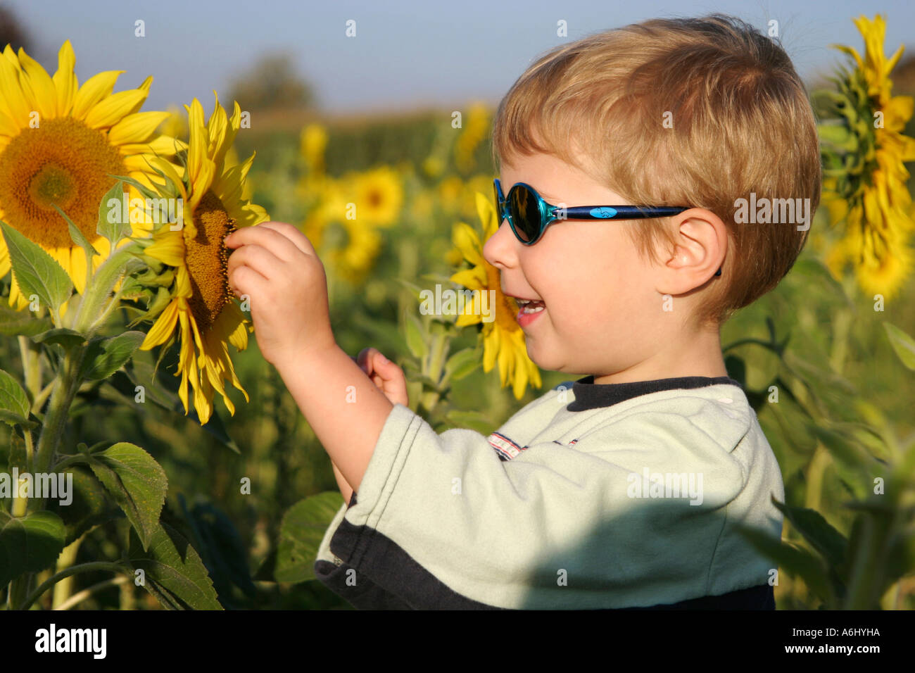 Boy with sunflowers Stock Photo - Alamy