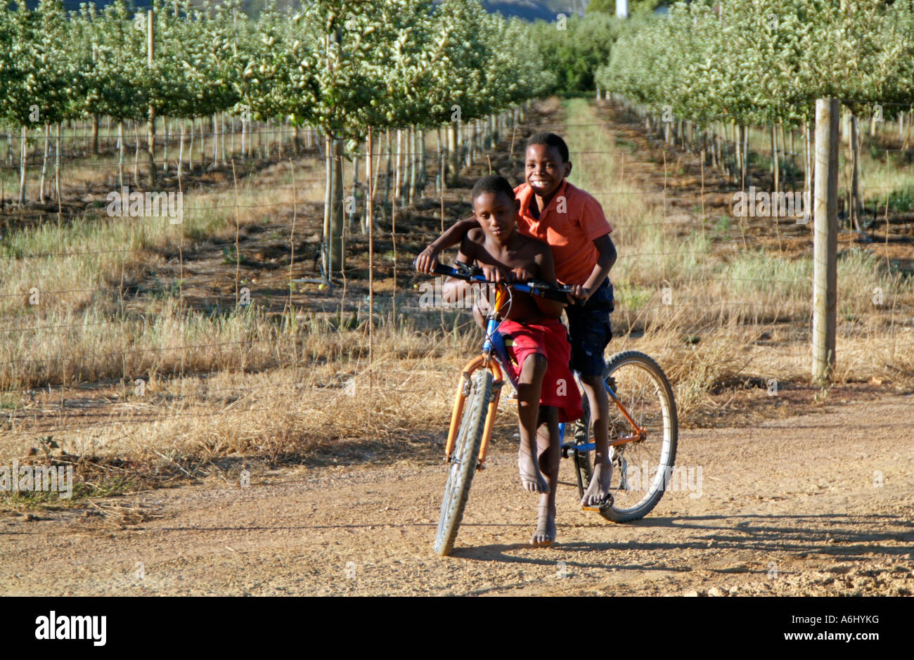 Two boys on a bicycle In the rural countryside in the Western cape ...