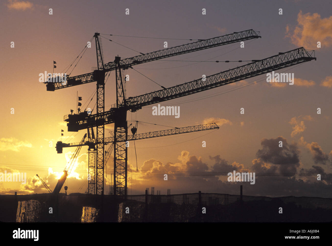 Cranes at Sunset Stock Photo - Alamy