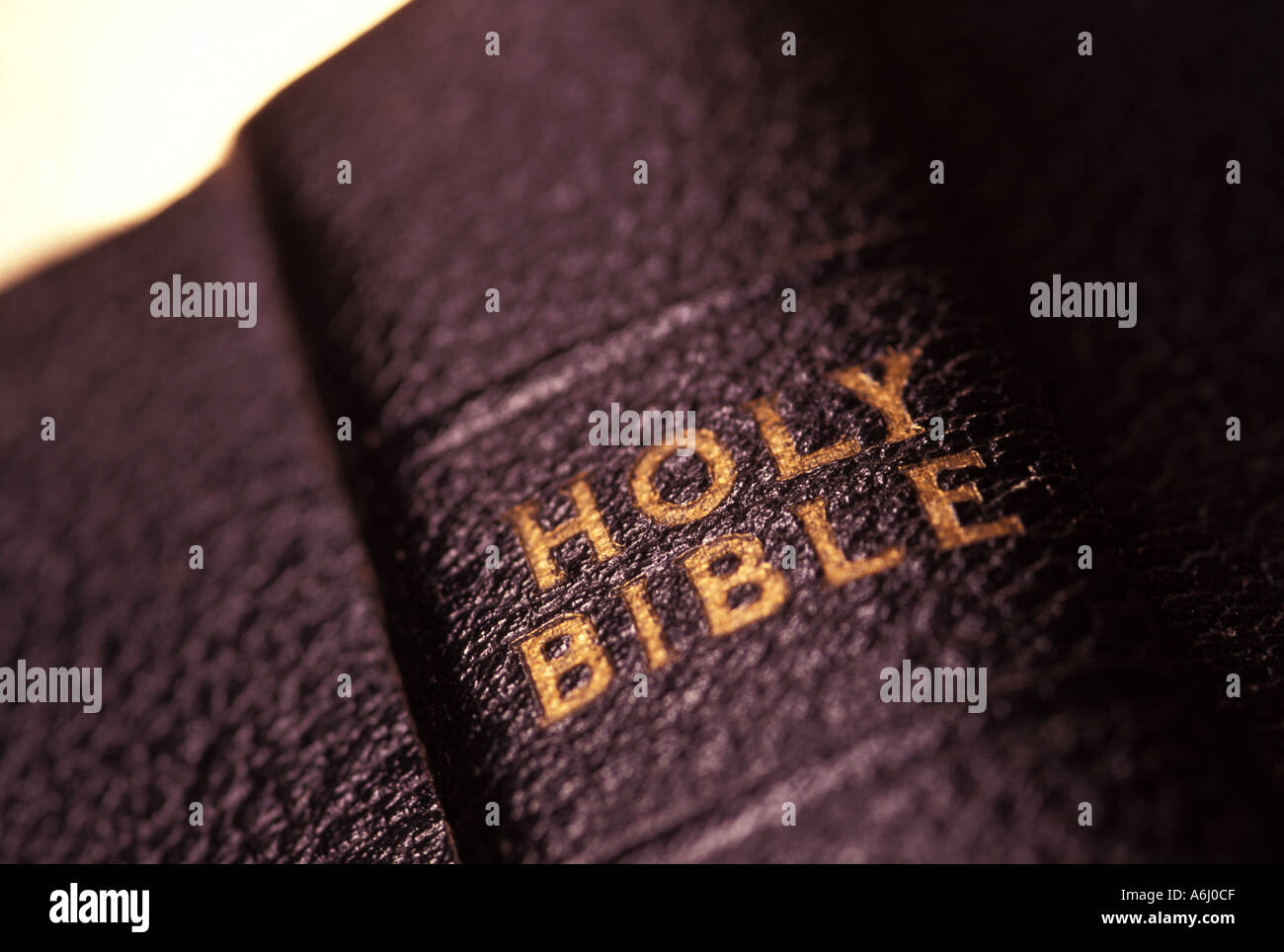Bible spine hi-res stock photography and images - Alamy