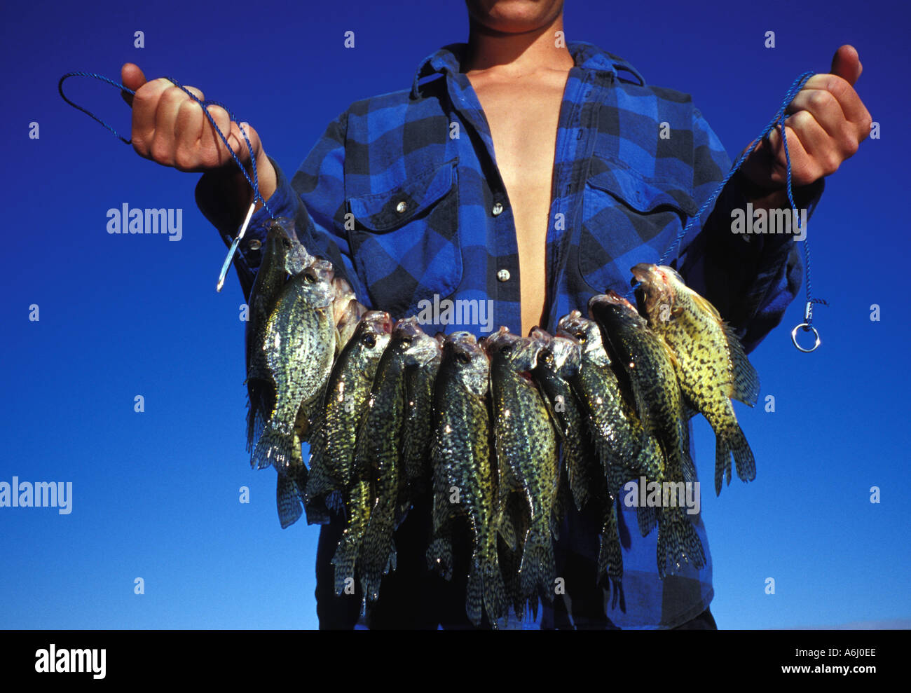 Man Holding String of Caught Fish Stock Photo - Alamy
