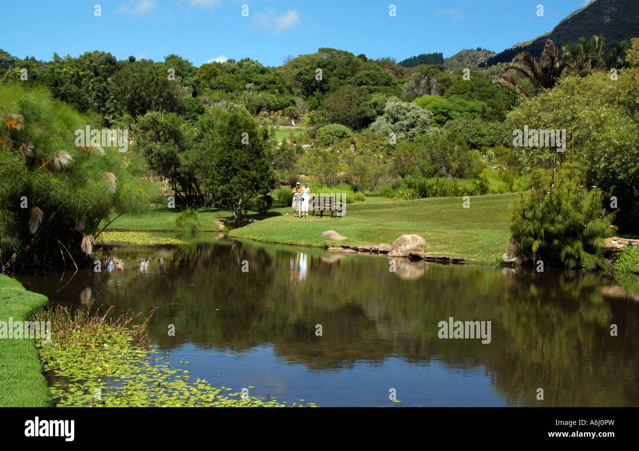 Kirstenbosch National Botanical Garden Cape Town South Africa Stock ...