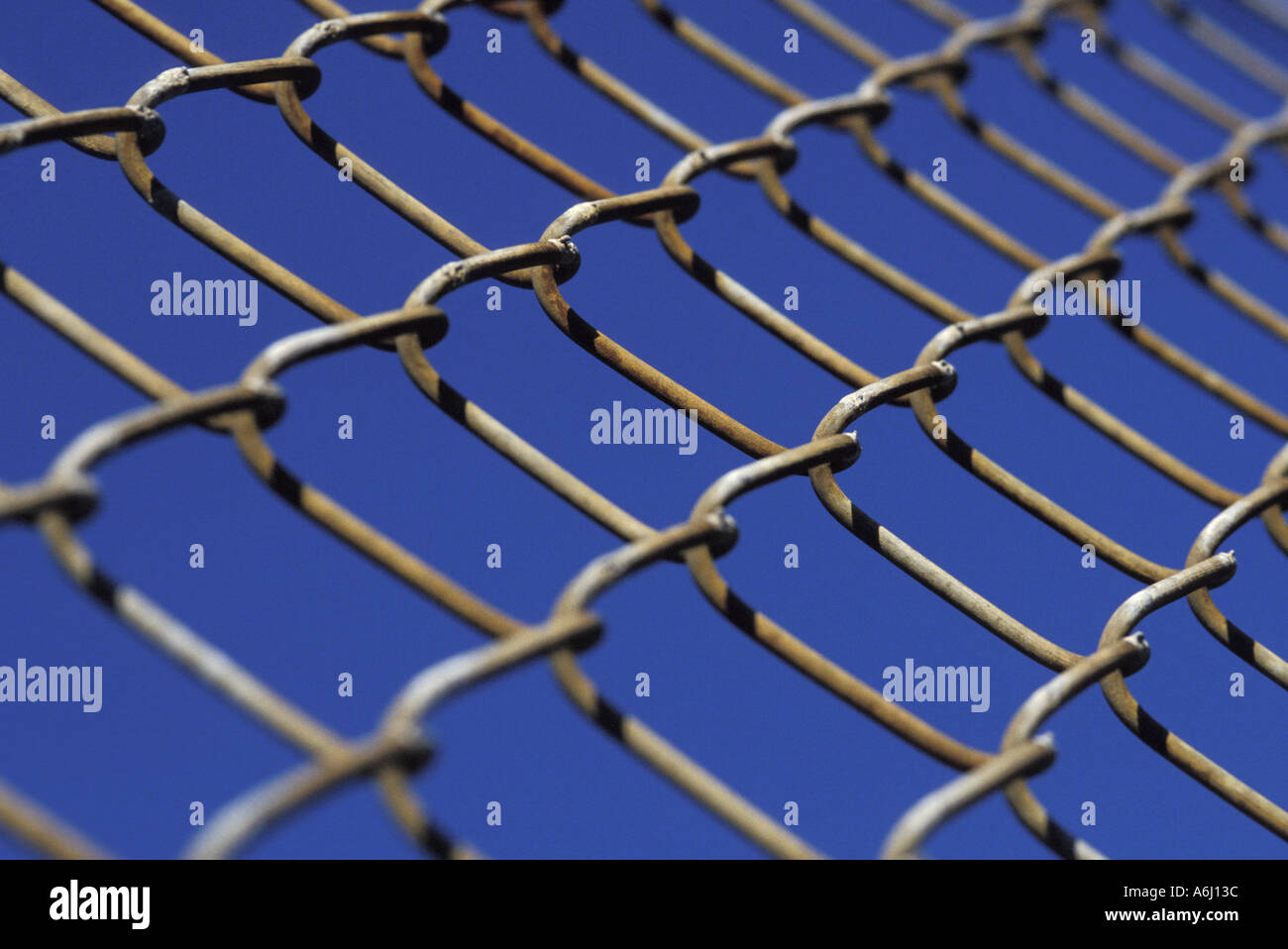 Chicken wire hi-res stock photography and images - Alamy