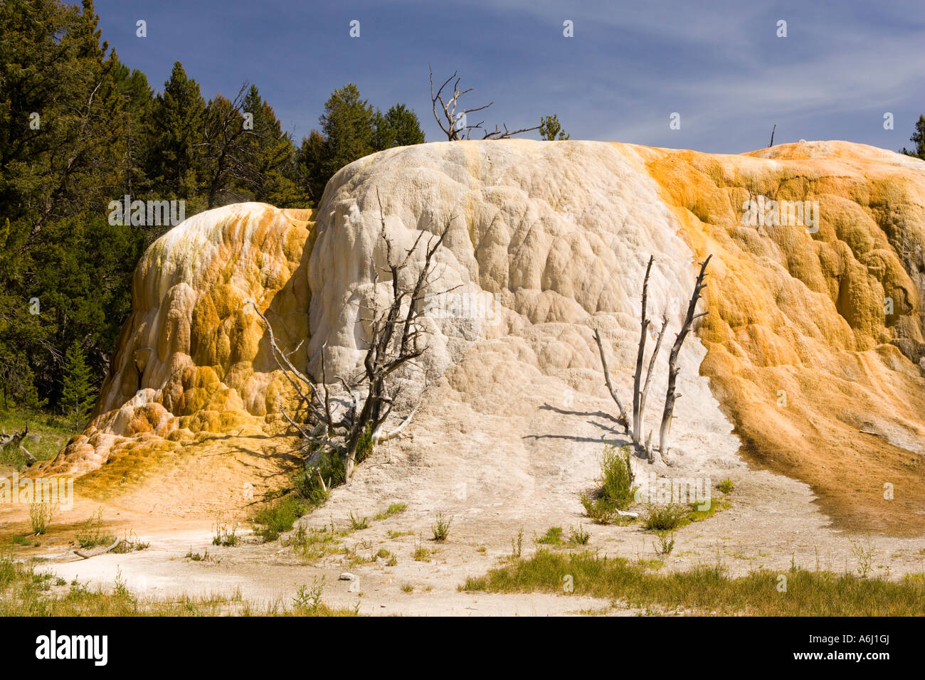 WYOMING USA Orange Spring Mound a formation at Mammoth Hot Springs in ...