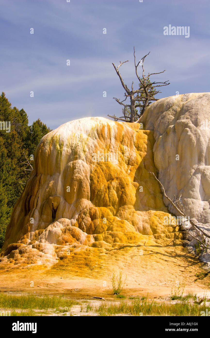 WYOMING USA Orange Spring Mound a formation at Mammoth Hot Springs in ...
