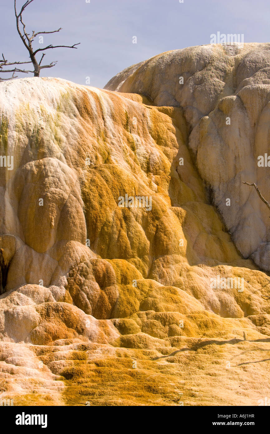 WYOMING USA Orange Spring Mound a formation at Mammoth Hot Springs in ...