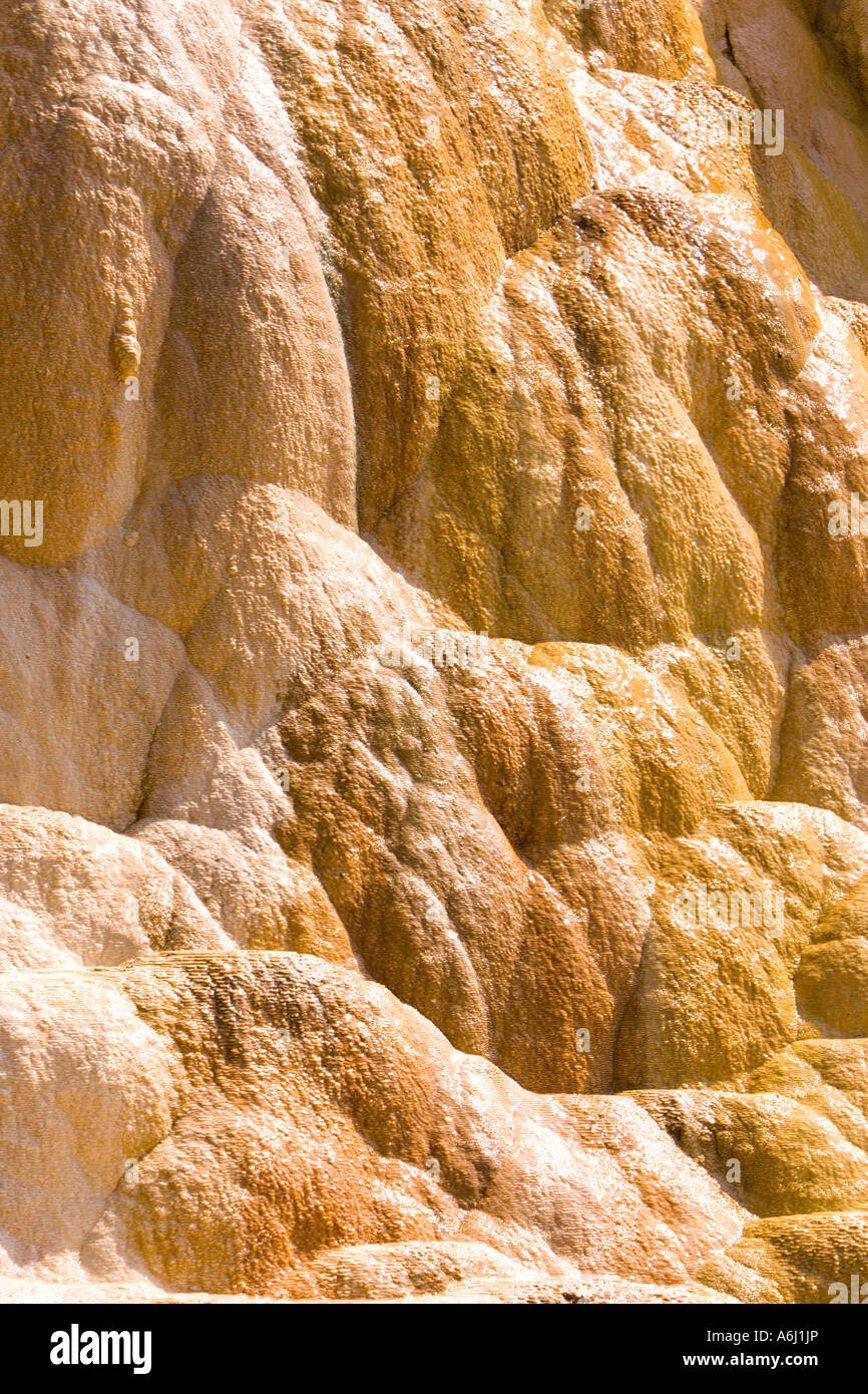 WYOMING USA Orange Spring Mound a formation at Mammoth Hot Springs in ...