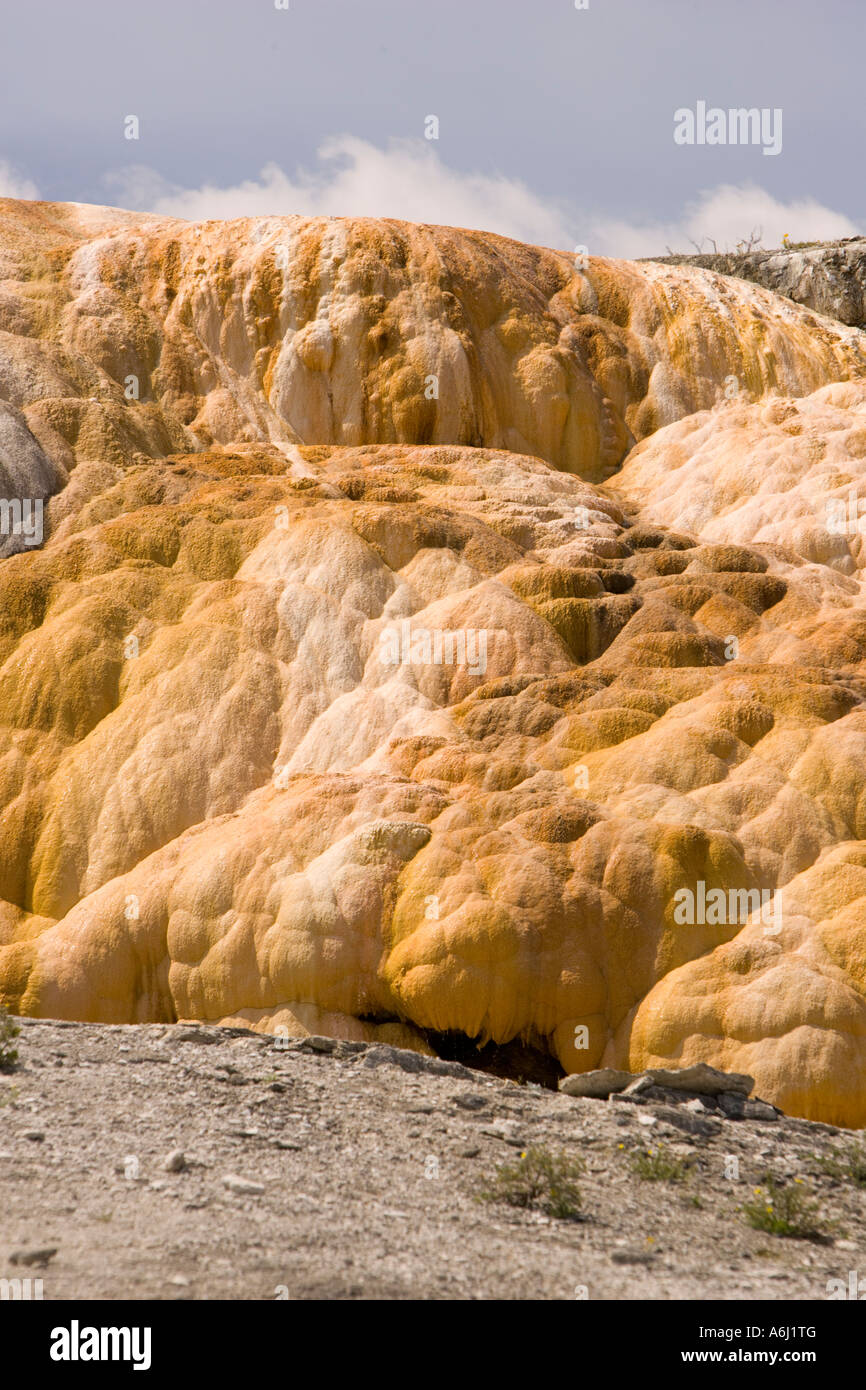 WYOMING USA Cleopatra Terrace at Mammoth Hot Springs in Yellowstone ...