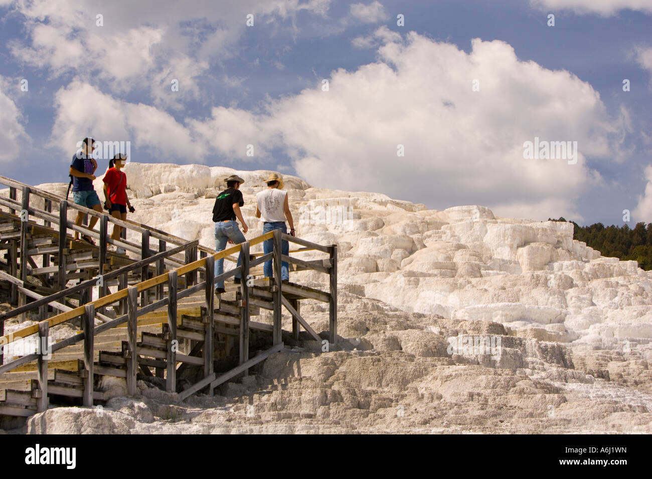 Minerva Terrace at Mammoth Hot Springs in Yellowstone National Park The ...