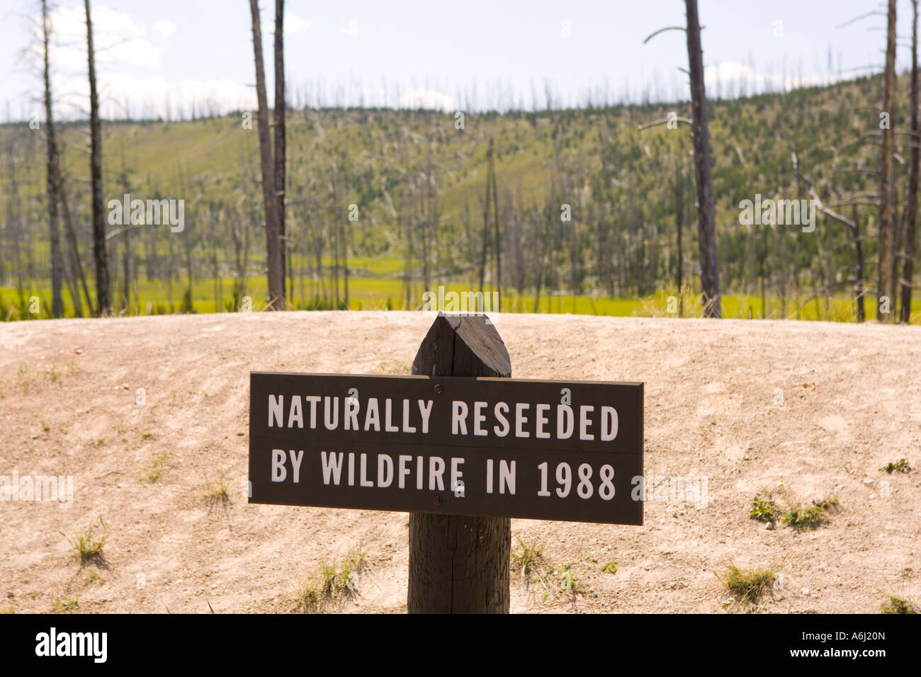 1872 yellowstone national park hi-res stock photography and images - Alamy