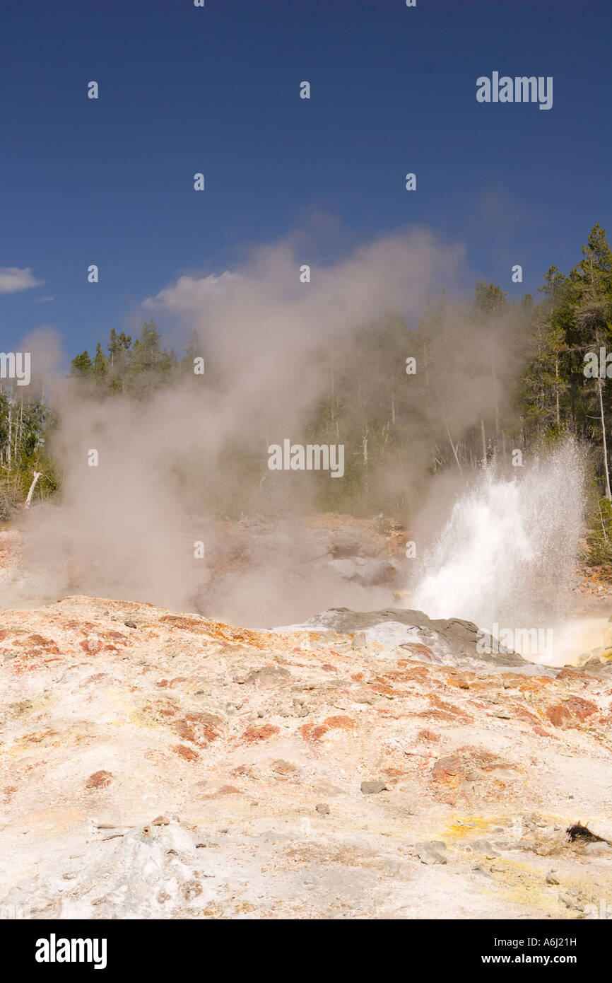 Steamboat Geyser the world largest geyser erupts with steam at Norris ...