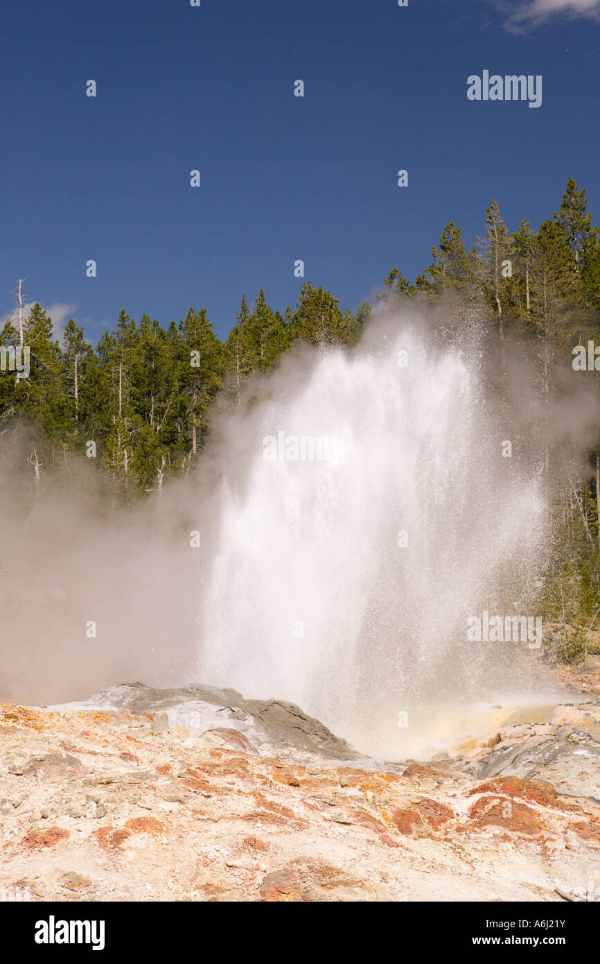 Steamboat Geyser the world largest geyser erupts with steam at Norris ...