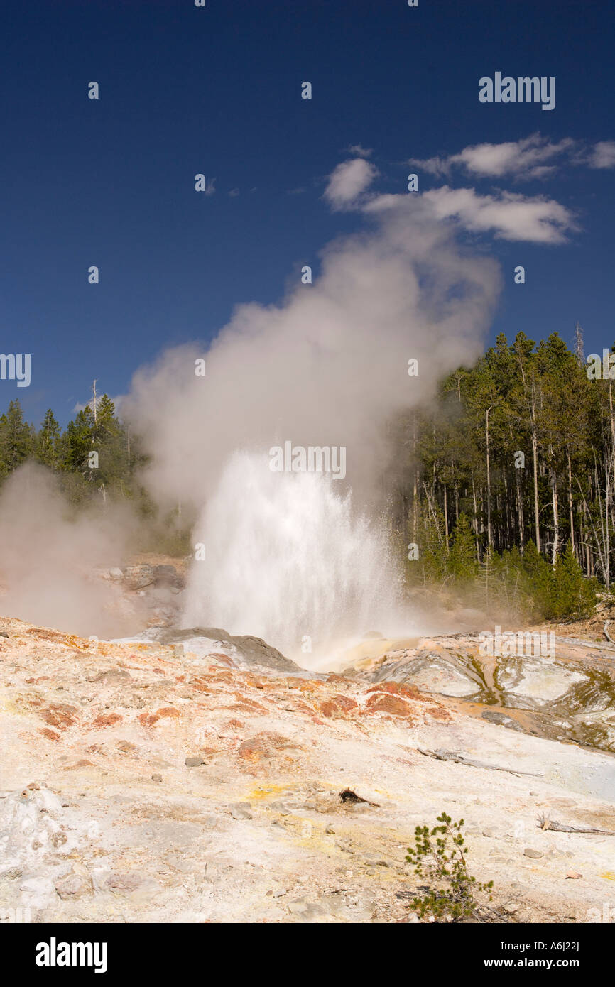 Steamboat Geyser the world largest geyser erupts with steam at Norris ...