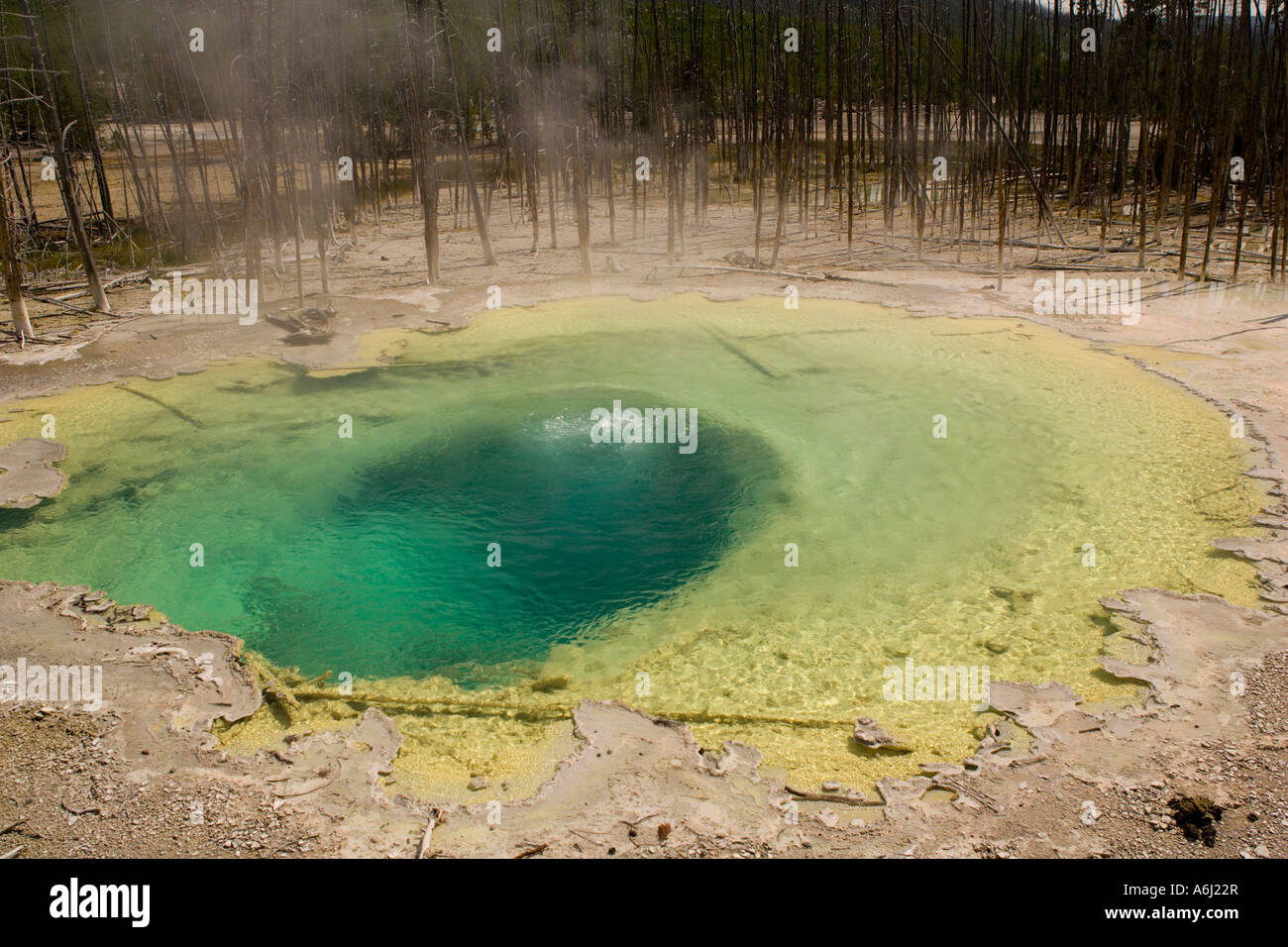 Cistern spring yellowstone hi-res stock photography and images - Alamy