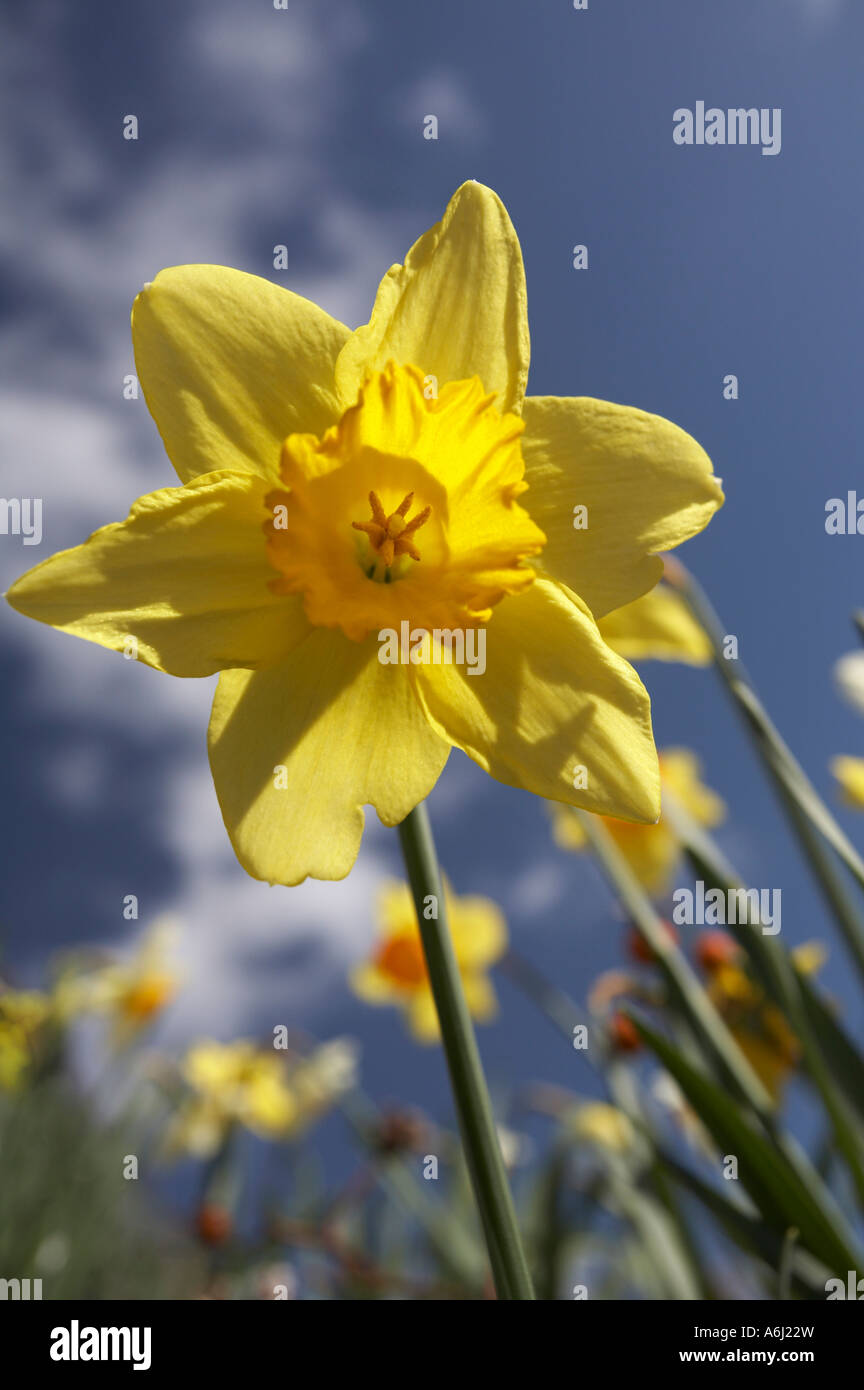 Bright and sunny day hi-res stock photography and images - Alamy