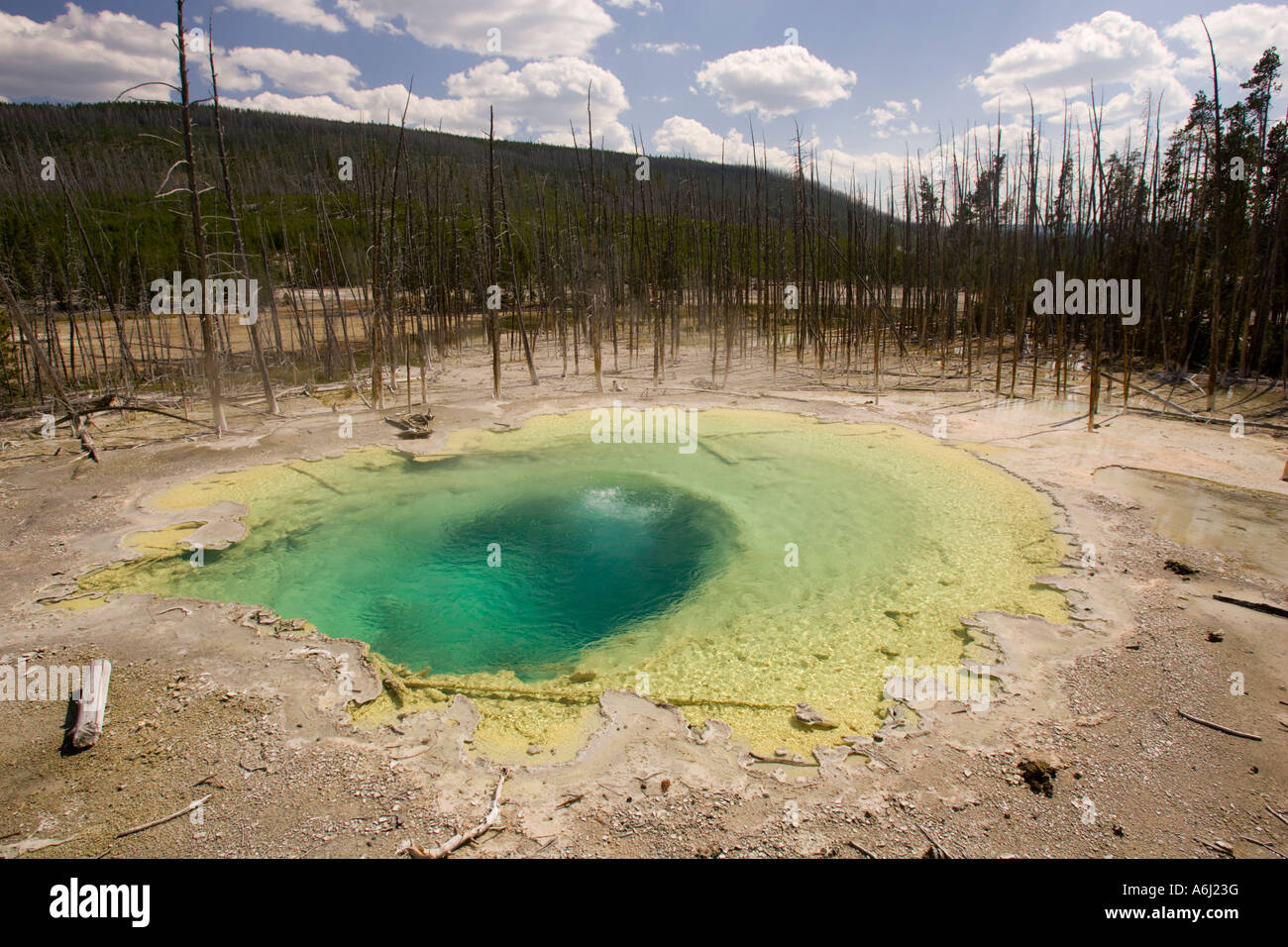 Cistern Spring in the Norris Geyser Basin Yellowstone National Park ...